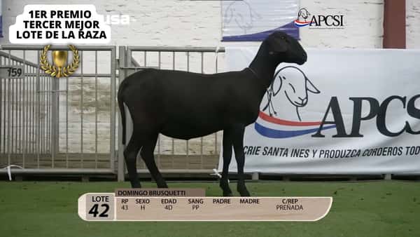 ClicRural - Nacional Santa Inés Campo - Lote 42